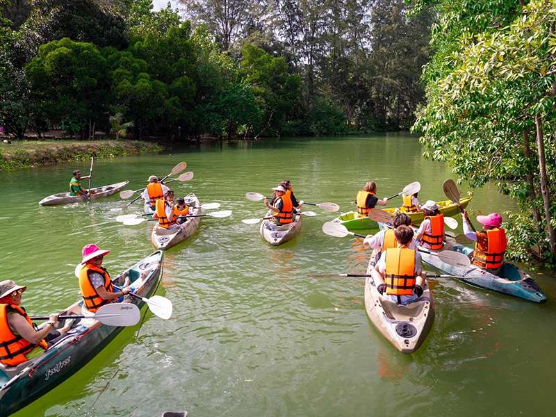 Kayaking Tour | Paradise of samui | Samui Journey